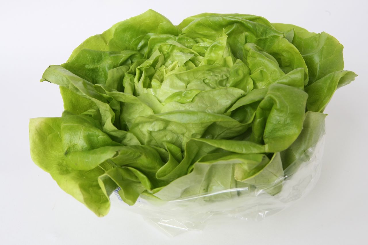 Het belang van sla - NRC