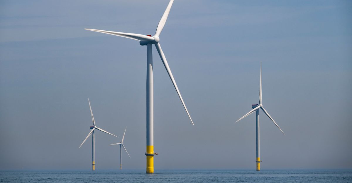 Opinie | Windmolens gevaarlijk voor zeeleven? Dat valt reuze mee - NRC