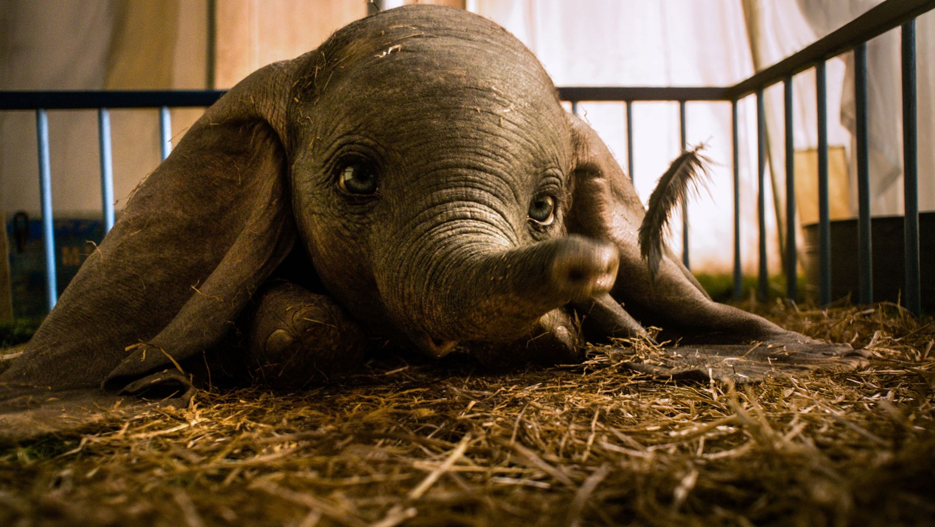 De vliegende olifant Dumbo blijft een tijdloos sprookje - NRC