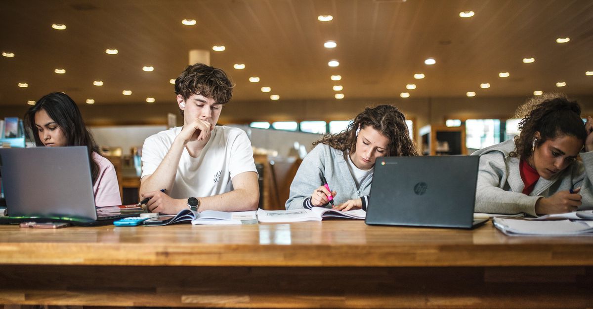 Hoe eindexamenleerlingen omgaan met examenstress: van AI tot ...
