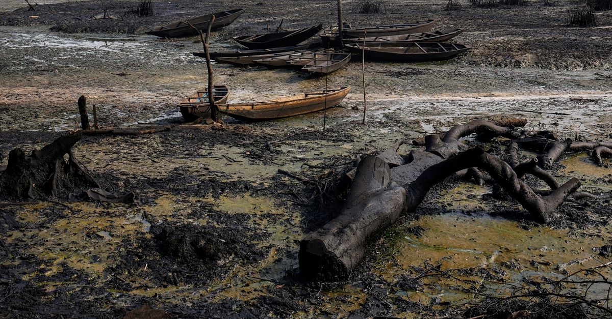 Shell en de Nigerdelta zijn voorlopig nog tot elkaar veroordeeld - NRC